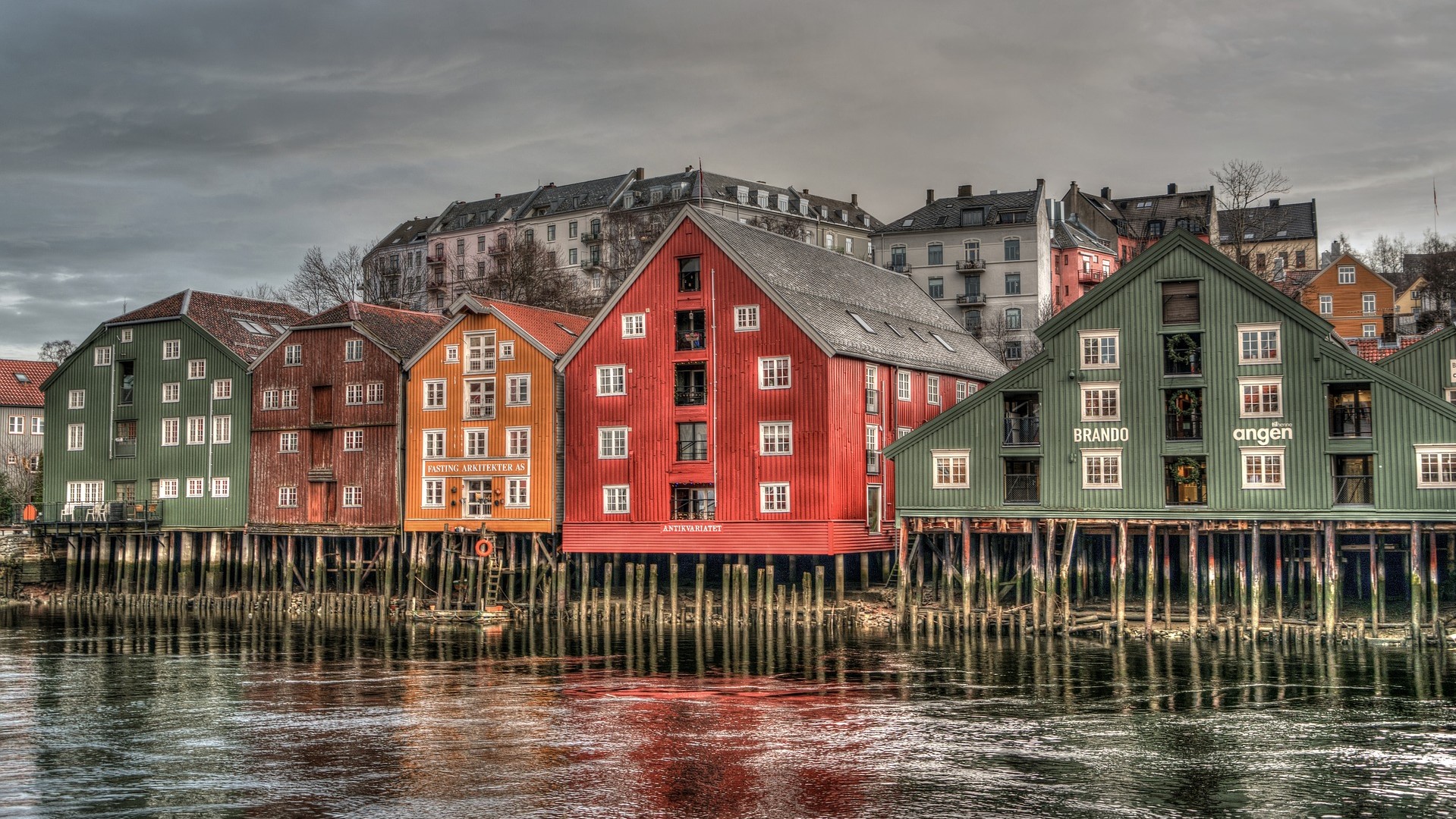 HELT MED-stilling nr 110: Trondheim kommune - Helt Med